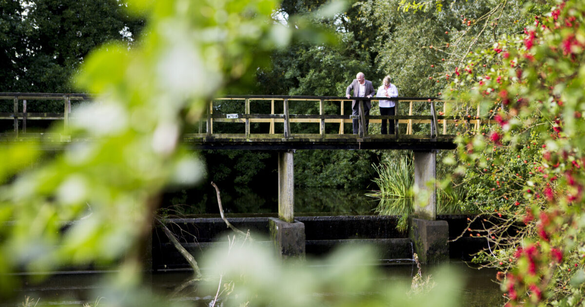 Enjoy waterfalls and weirs on a waterside walk | Explore Essex
