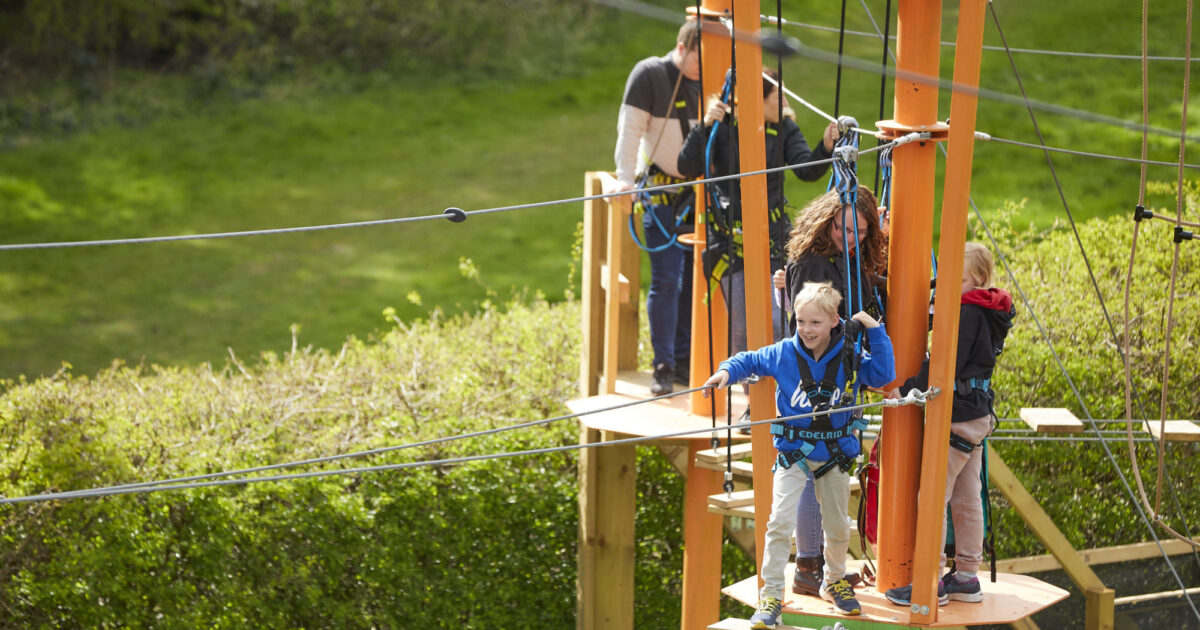 Essex Outdoors Harlow: High Ropes Hexagon Adventure | Explore Essex
