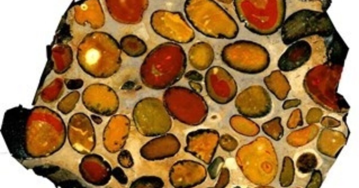 ERO Presents: Essex Rocks - Geology beneath the… | Explore Essex