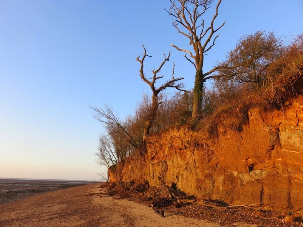 The Essex Serpent: Cudmore Grove as film location | Explore Essex