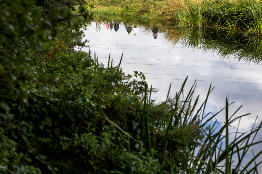 Enjoy waterfalls and weirs on a waterside walk | Explore Essex