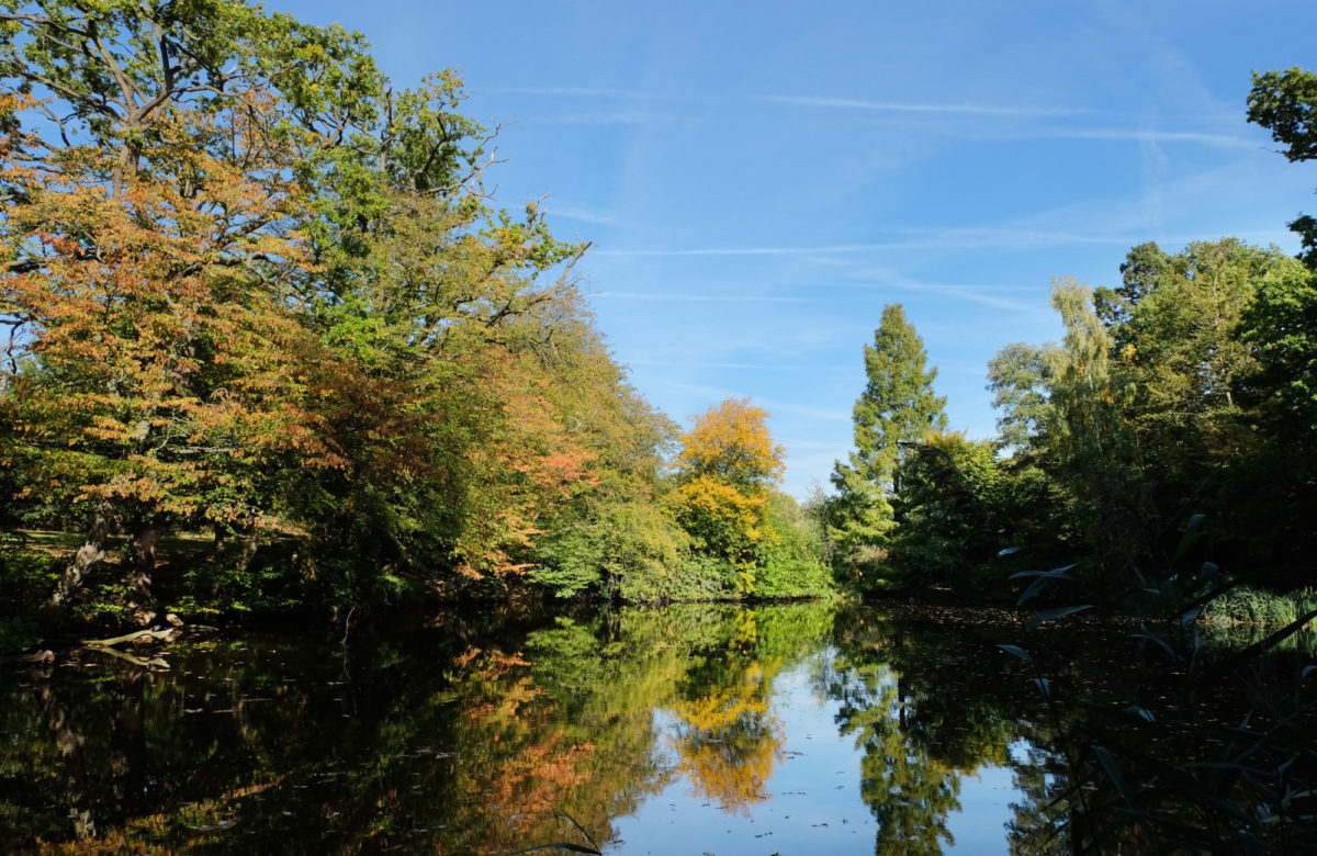 Danbury Country Park | Explore Essex