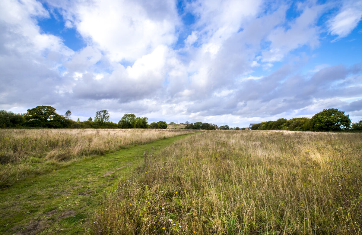 Great Notley Country Park | Explore Essex