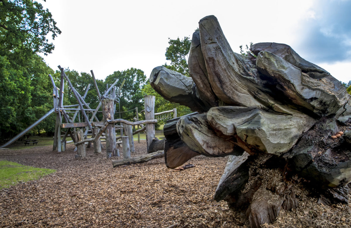 Weald Country Park Explore Essex