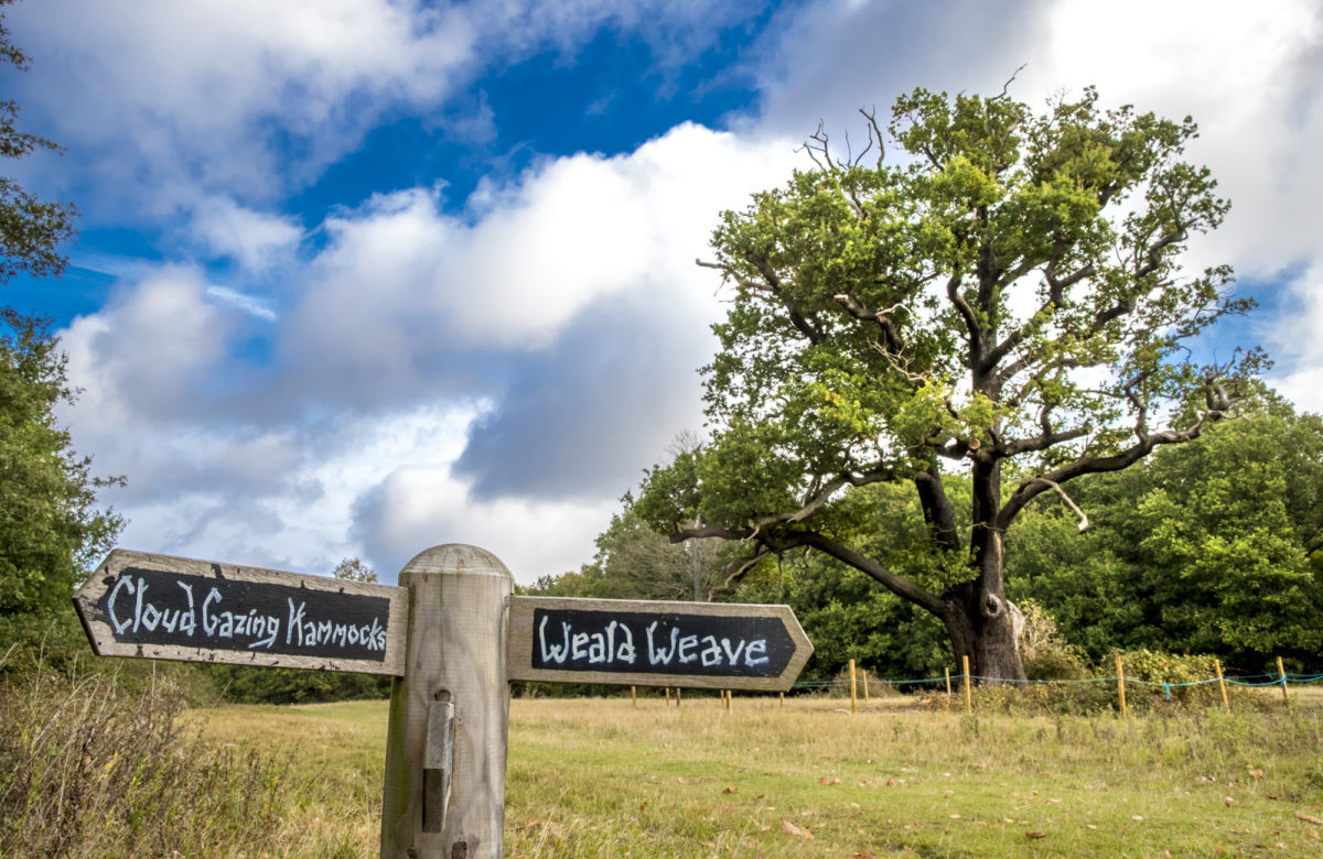 Weald Country Park | Explore Essex