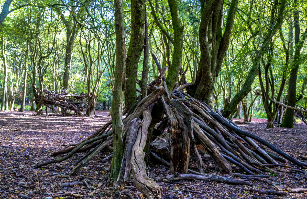 Weald Country Park | Explore Essex
