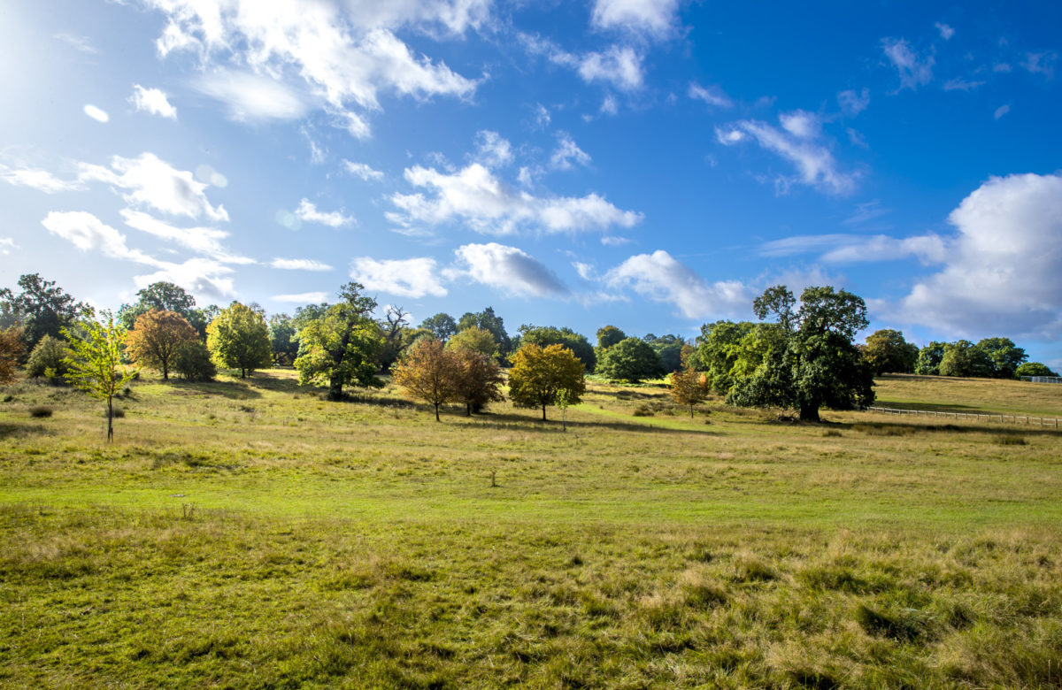 Weald Country Park | Explore Essex