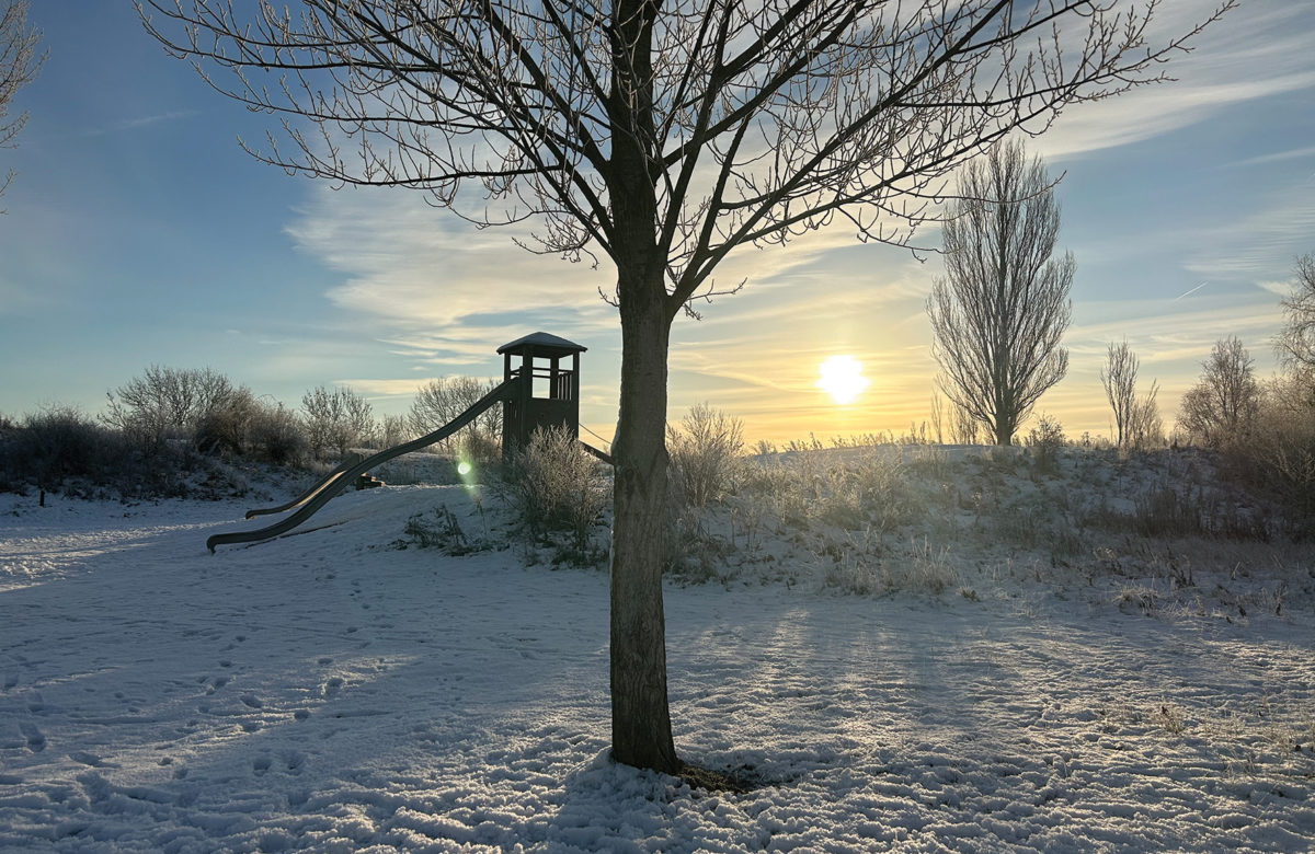 Great Notley Country Park | Explore Essex