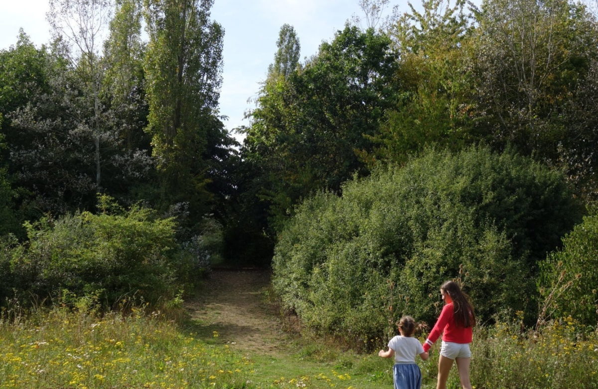 Great Notley Country Park | Explore Essex