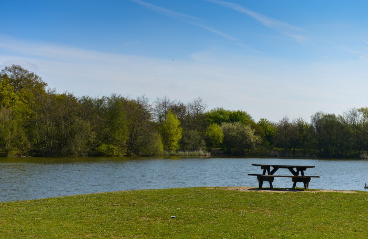 Belhus Woods Country Park | Explore Essex