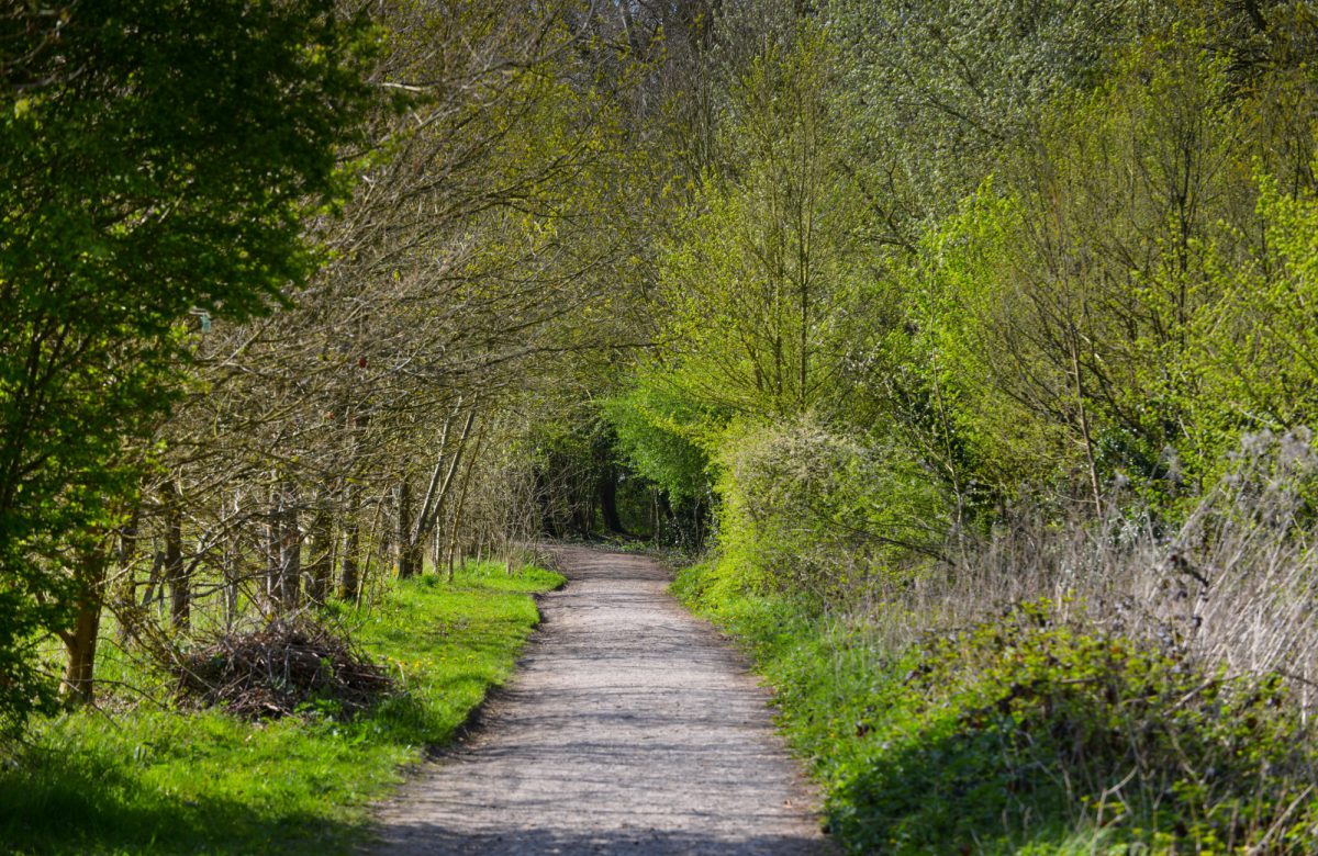Belhus Woods Country Park | Explore Essex