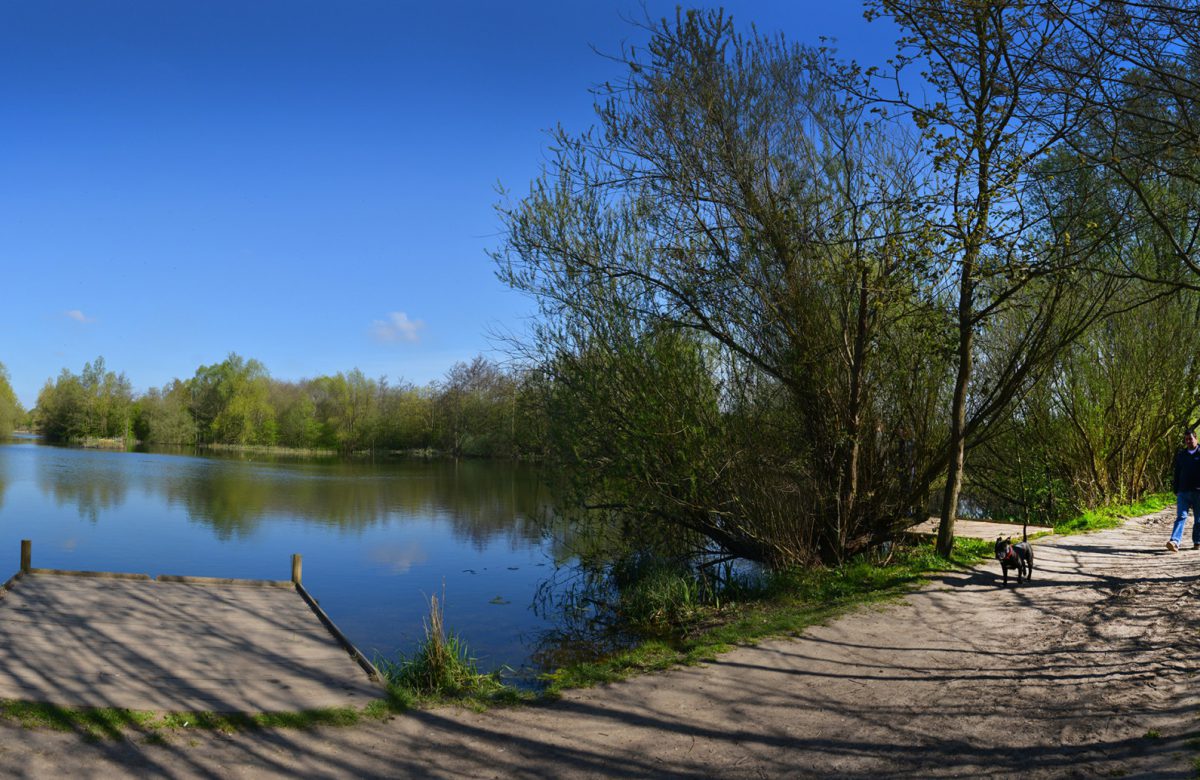 Belhus Woods Country Park | Explore Essex