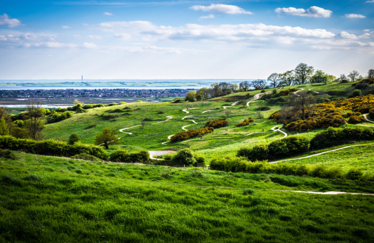 Hadleigh Country Park | Explore Essex