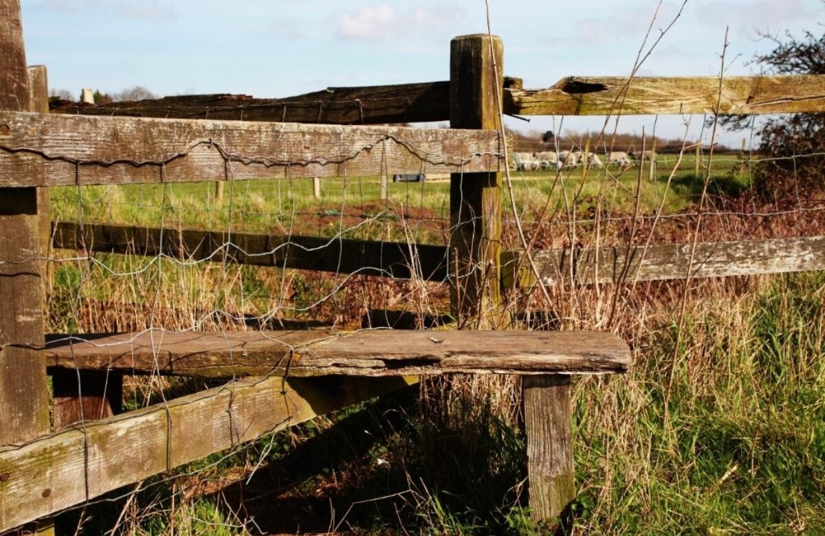 Marsh Farm Country Park | Explore Essex