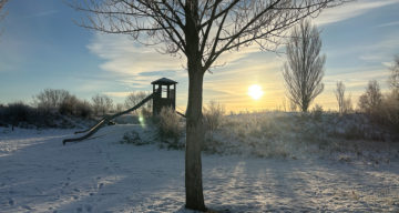 Great Notley Country Park | Explore Essex