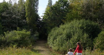 Great Notley Country Park | Explore Essex
