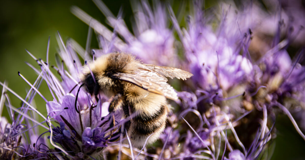 Something exciting is happening: Landscape… | Explore Essex