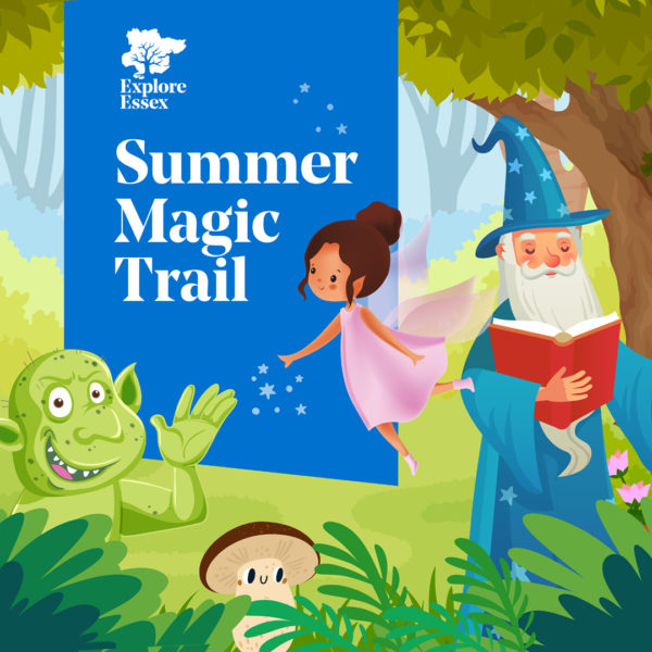 Summer Magic at the Essex Country Parks | Explore Essex