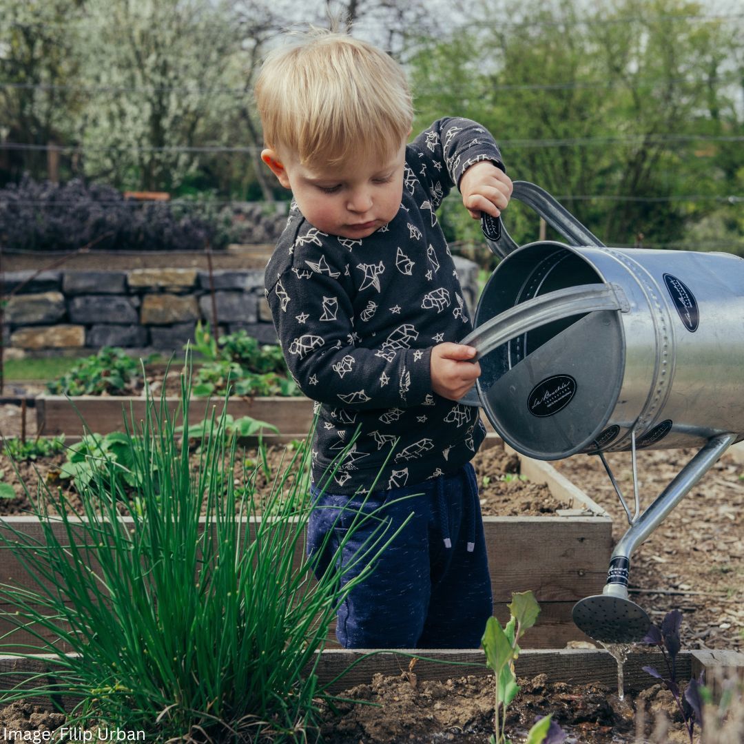 Let happiness bloom by planting flowers | Explore Essex
